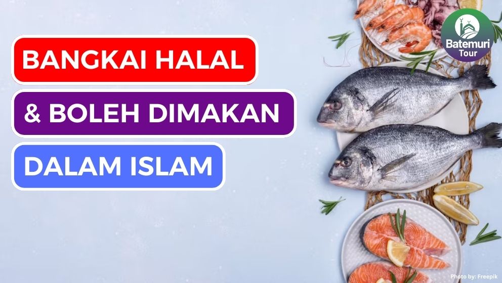 Ini Dia 3 Jenis Bangkai Halal, Nomor 1 dan 2 Boleh Dimakan Lho!!