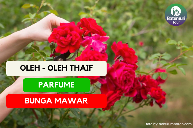 Pesona Kota Thaif: Parfum Bunga Mawar Khas Ala Saudi, Rekomendasi Oleh ...